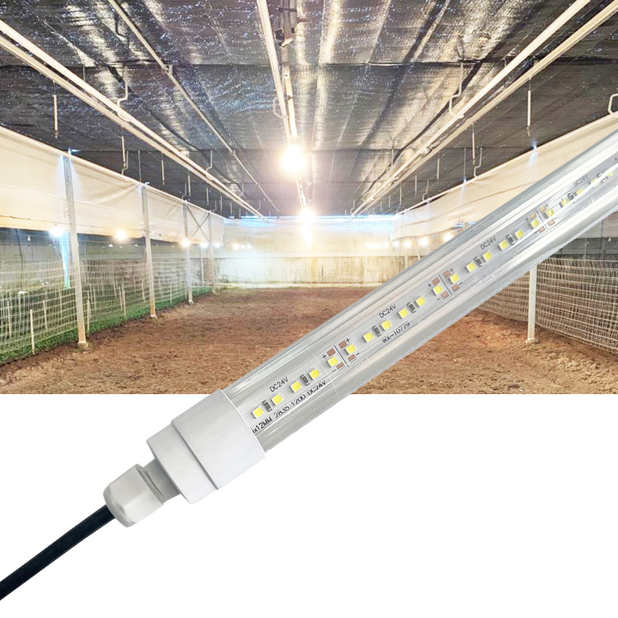 Poultry Layer Light Tube Lighting Waterproof for Livestock DC Dcpoultry ...
